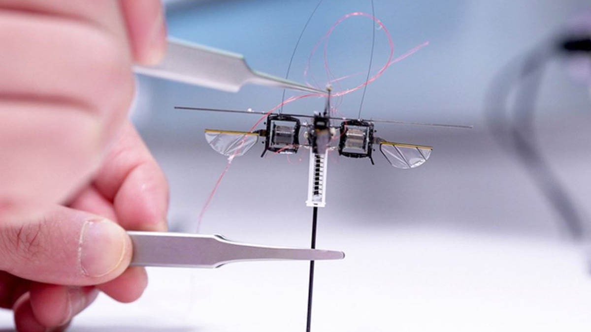 MIT Students Design Robo-Bee to Revolutionize Pollination and Space ...